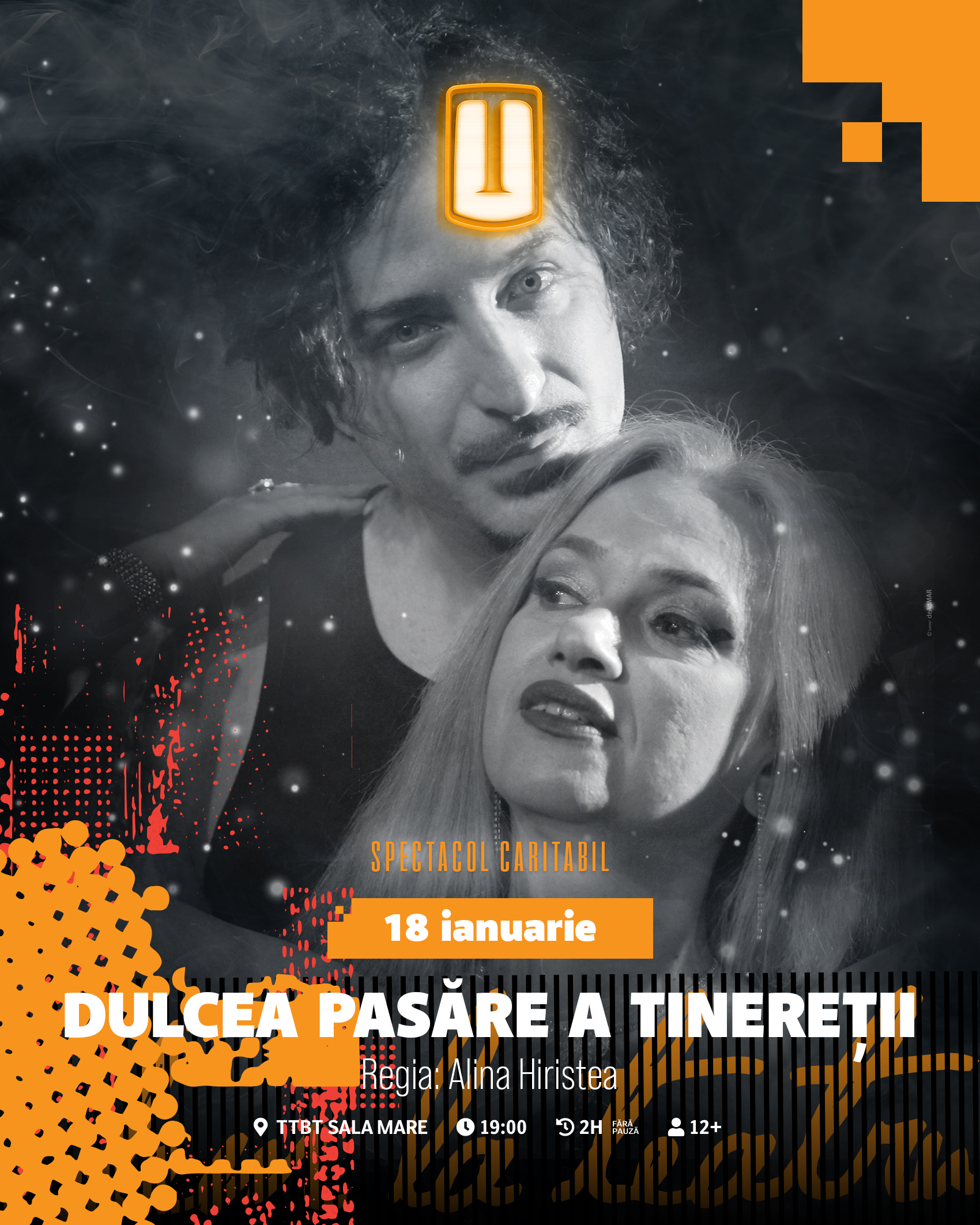 Spectacol caritabil la Teatrul Tony Bulandra. Toate încasările vor fi donate Secţiei de ...